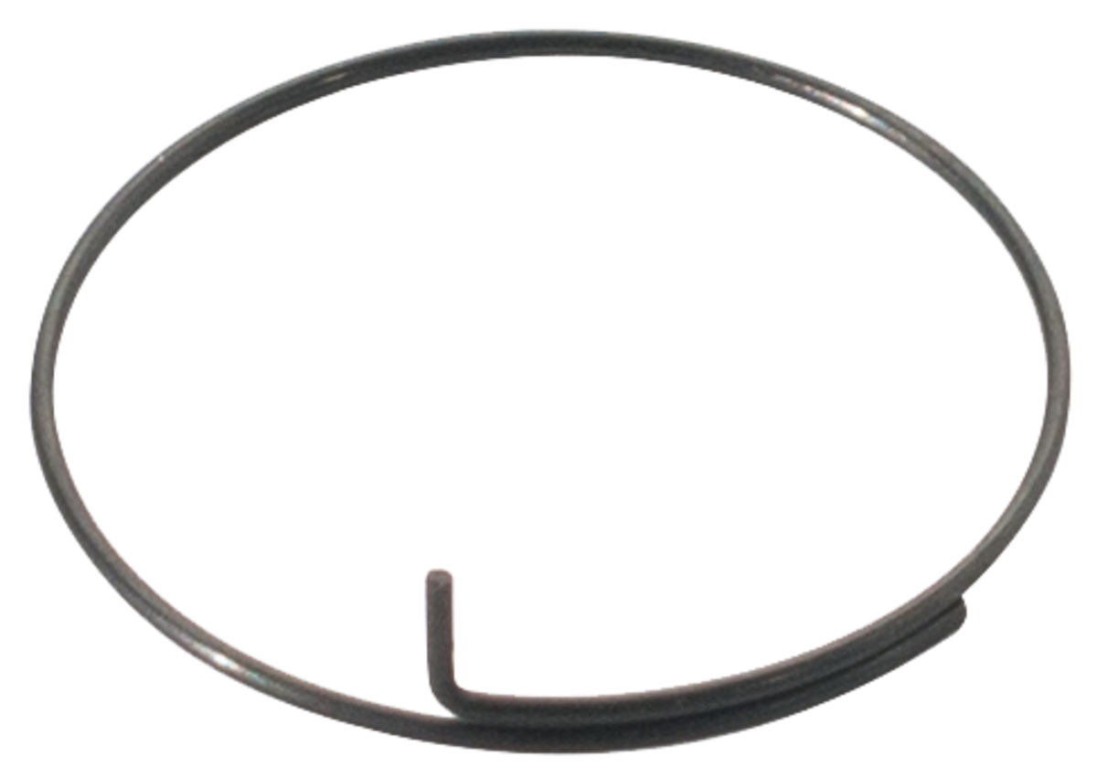 Bontrager DT Swiss Onyx Pawl Spring - Trek Bikes