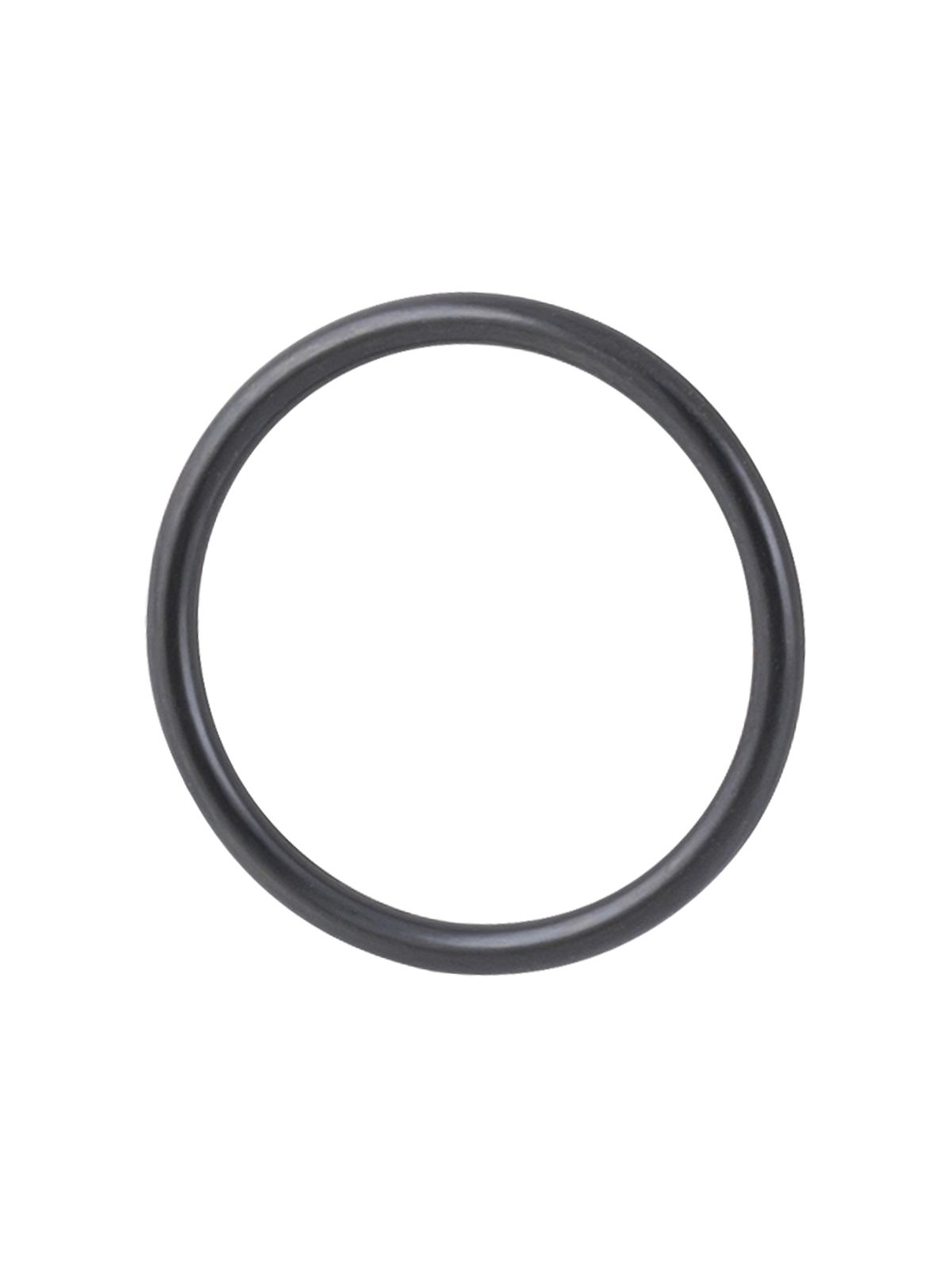 Bosch Gen 3 Lockring O-Ring - Trek Bikes (ZA)