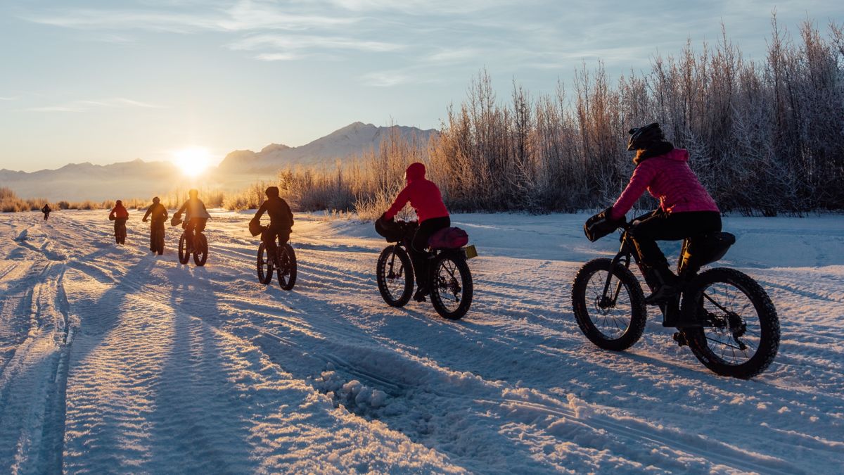 Bike handlebar accessories - Trek Bikes