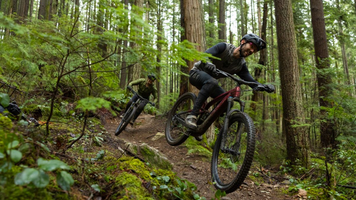 Fuel EXe - Trek Bikes