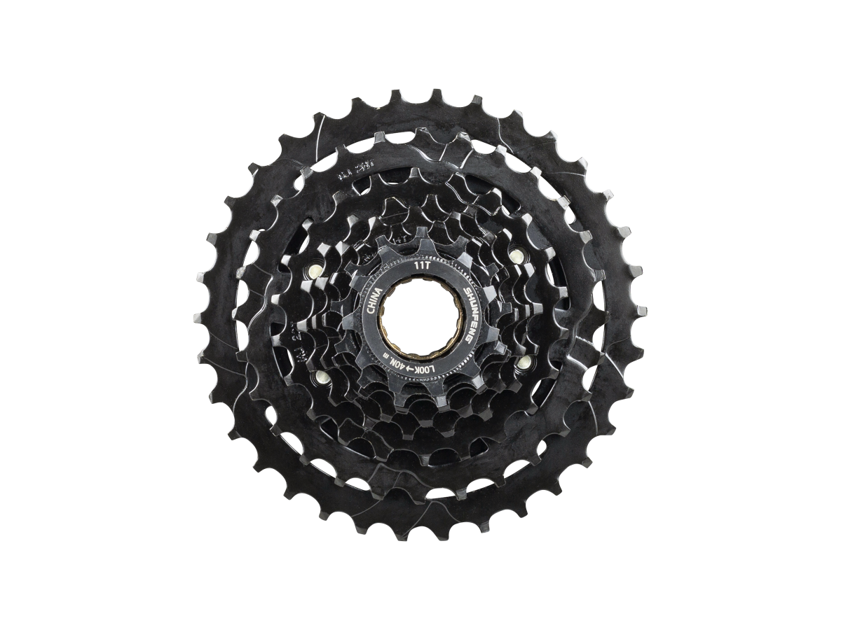 Electra Ponto Go! 8-Speed Freewheel - Trek Bikes