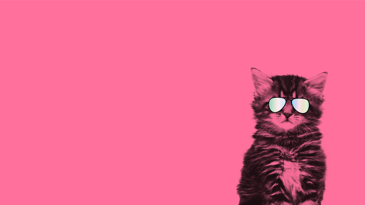 Super Kot - Trek Bikes (PL)