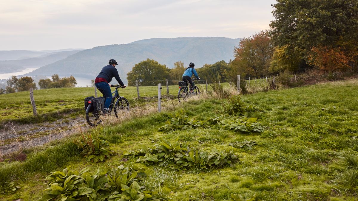 Allant+ 5 & 6 - Trek Bikes (GB)