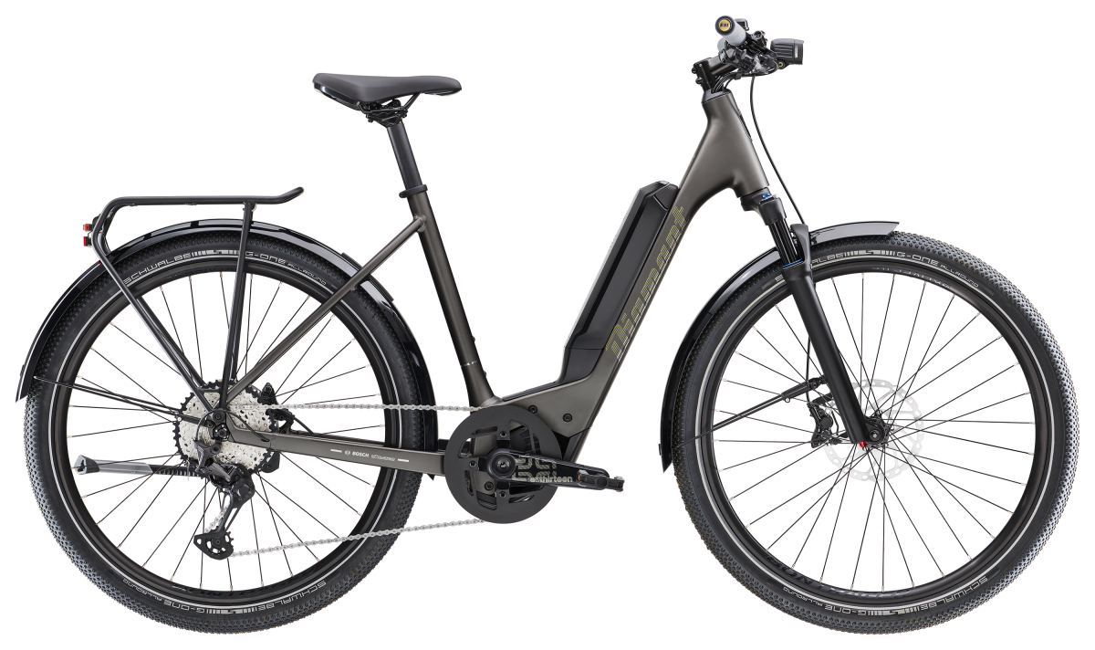 Zing Super Deluxe Gen 2 (Einstieg: tief) - Trek Bikes (DE)