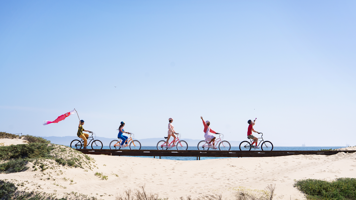 Cruiser bikes & E-bikes - Electra Bikes